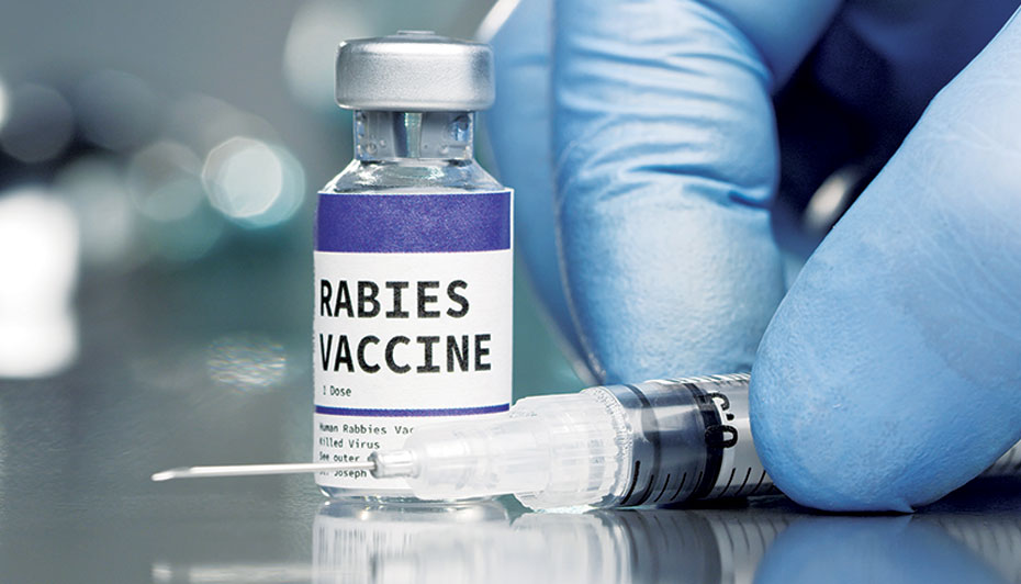 Rabies-Vaccination-Saves-Lives.jpg